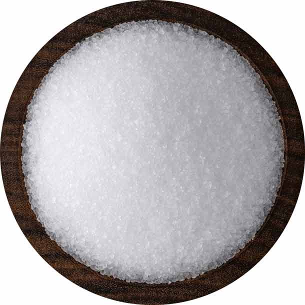 Ingredient Salt | SaltWorks®